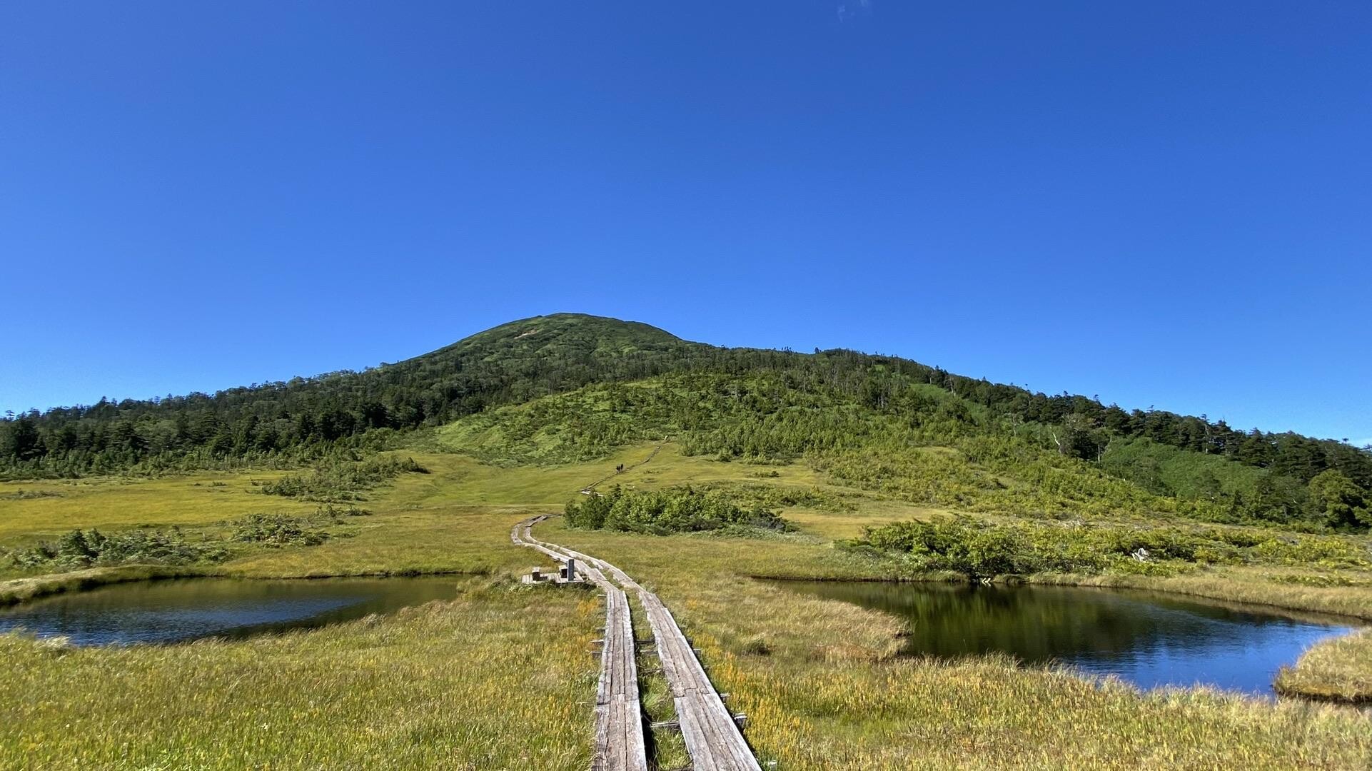 日本百名山 燧ヶ岳 / TW225さんの尾瀬・燧ヶ岳の活動データ | YAMAP / ヤマップ