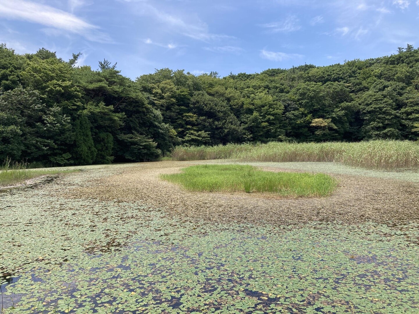 作礼山・作礼山東峰（権現山） / akiさんの作礼山の活動日記 | YAMAP / ヤマップ