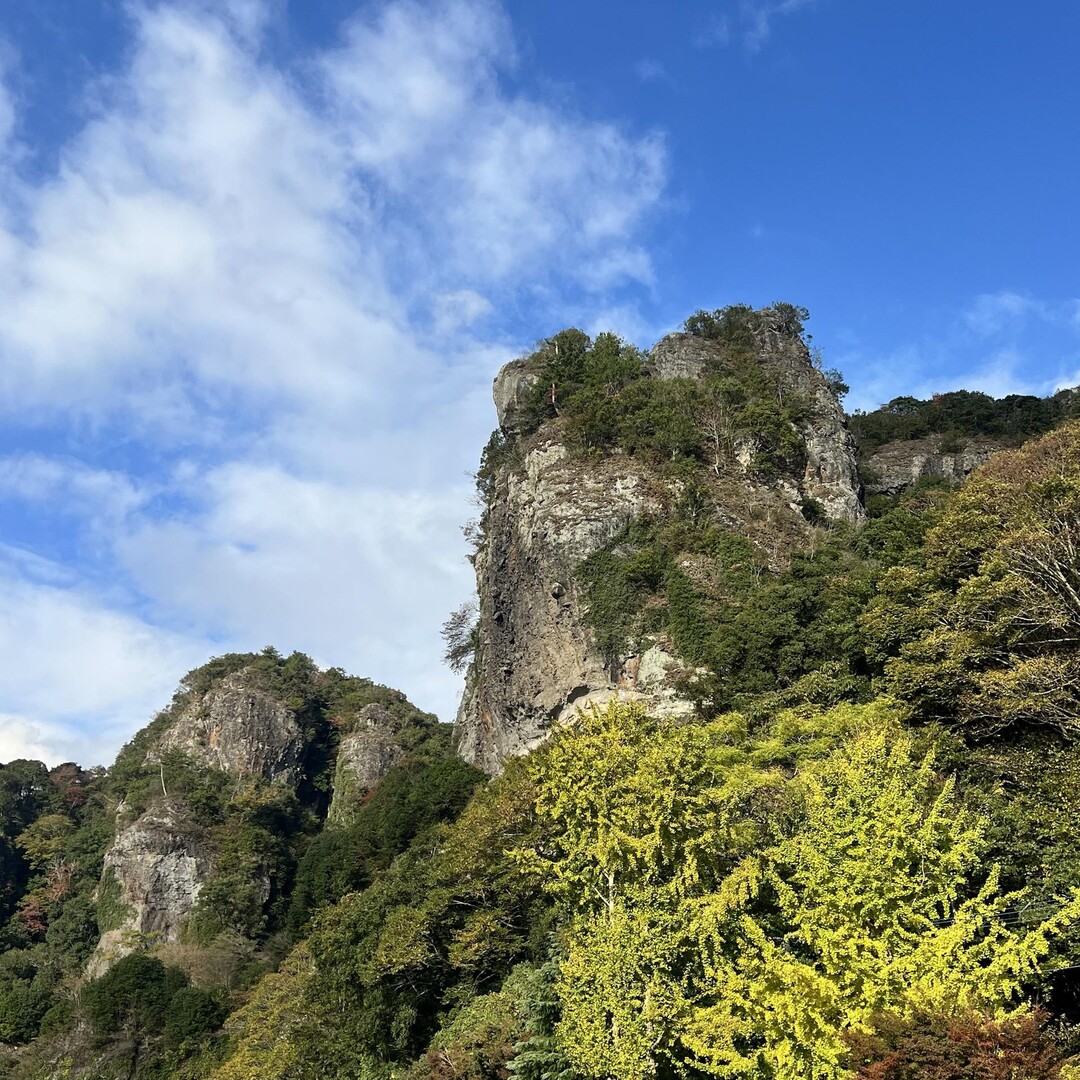 青の洞門・競秀峰-2024-11-23 / jyamiさんの青の洞門・競秀峰の活動データ | YAMAP / ヤマップ