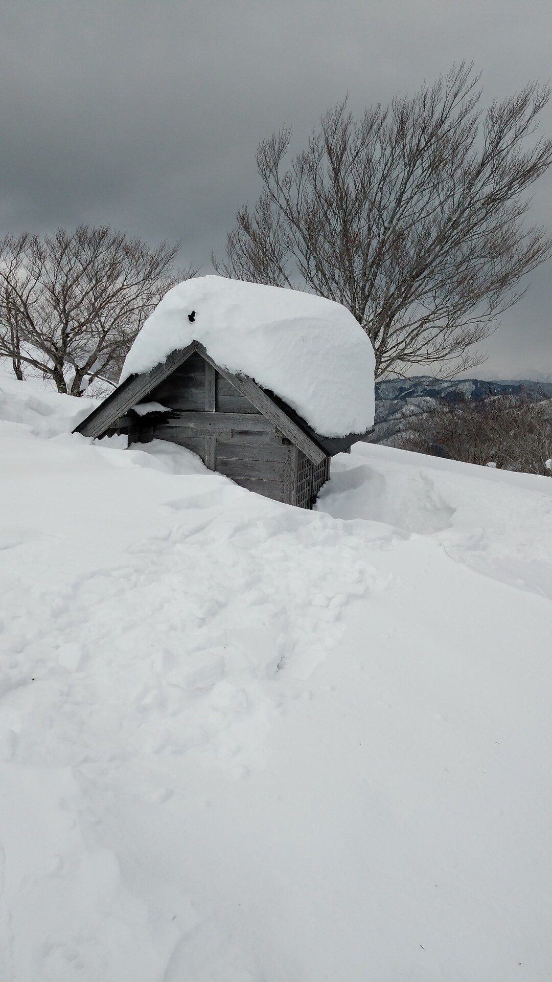 猪臥山 / シゲさんswさんの猪臥山の活動データ | YAMAP / ヤマップ