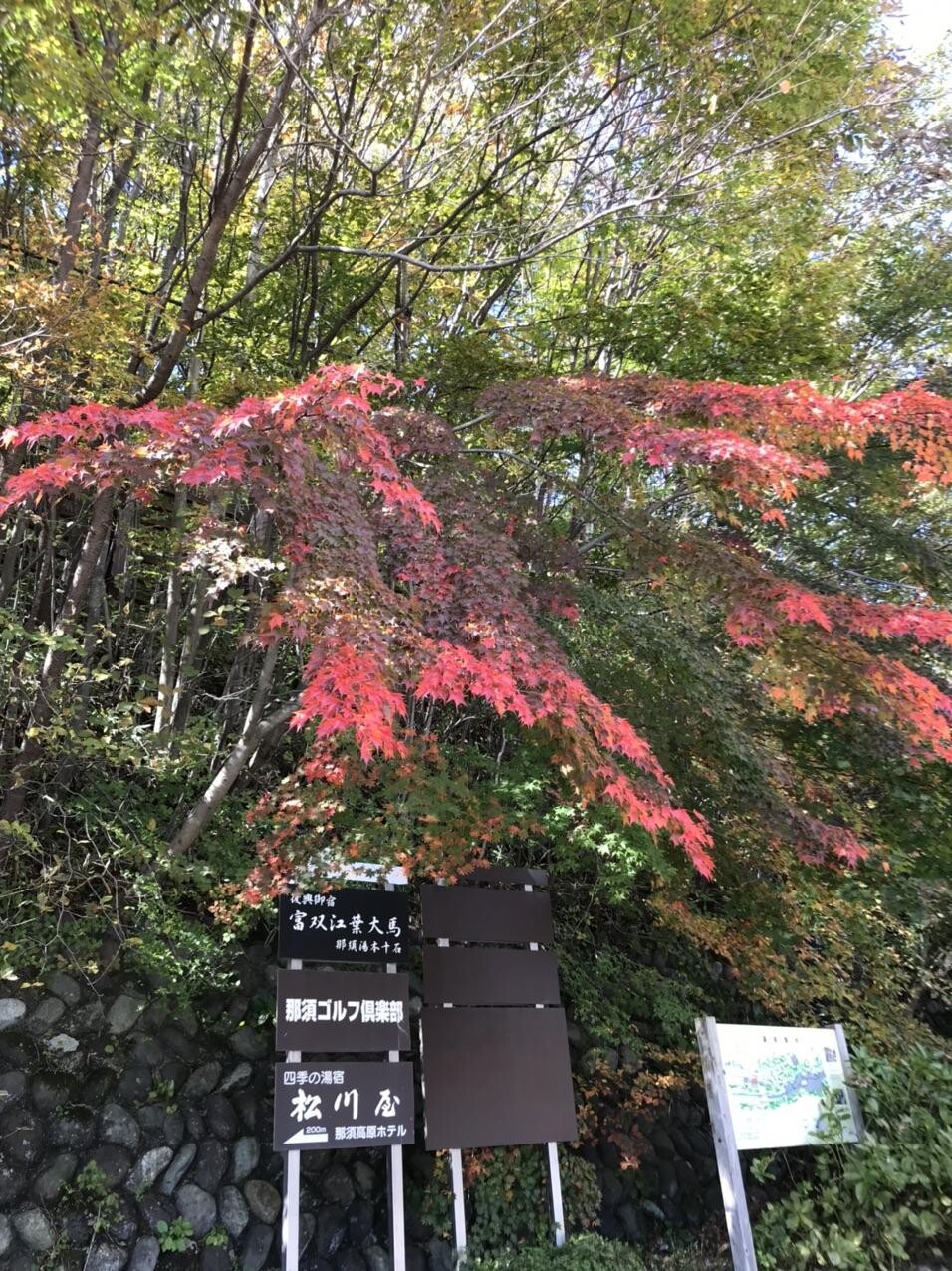 haseのページ | YAMAP / ヤマップ