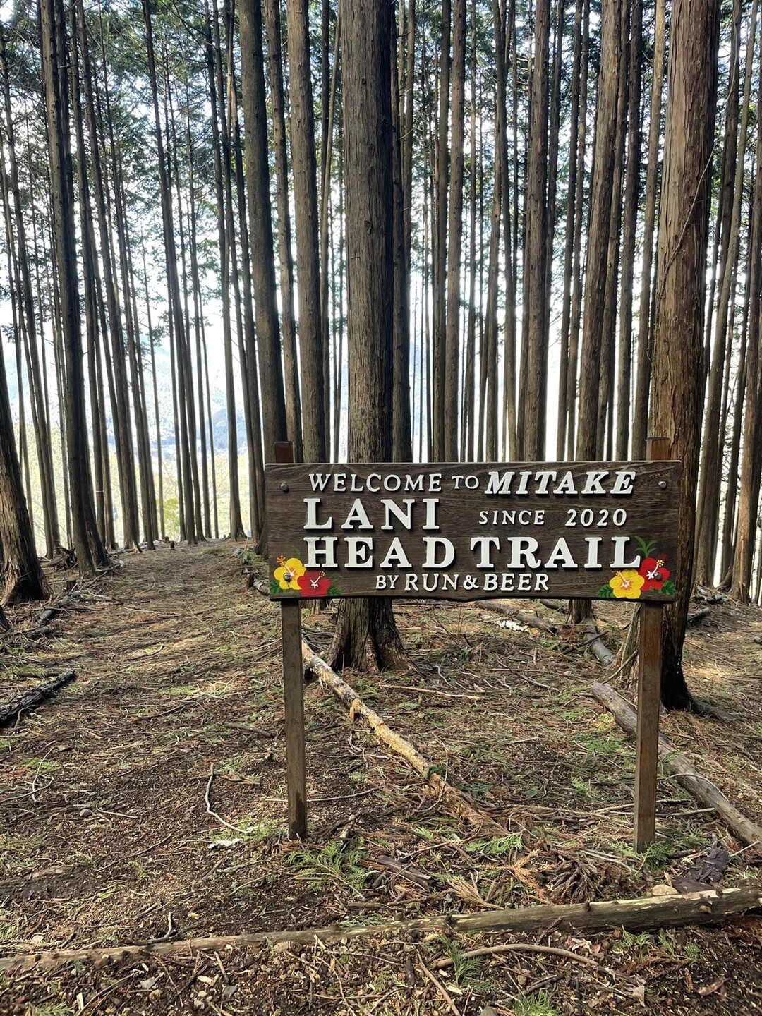 大塚山〜御岳山〜Lani head trail / コンソメさんの大岳山・御岳山・御前山の活動データ | YAMAP / ヤマップ