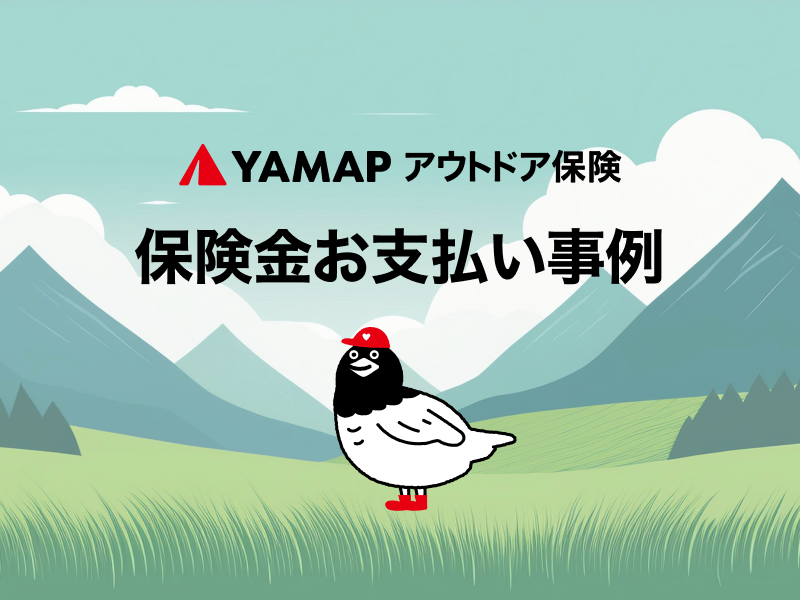 【梅雨時期の登山は思わぬ転倒に注意｜YA... / YAMAPさんのモーメント | YAMAP / ヤマップ