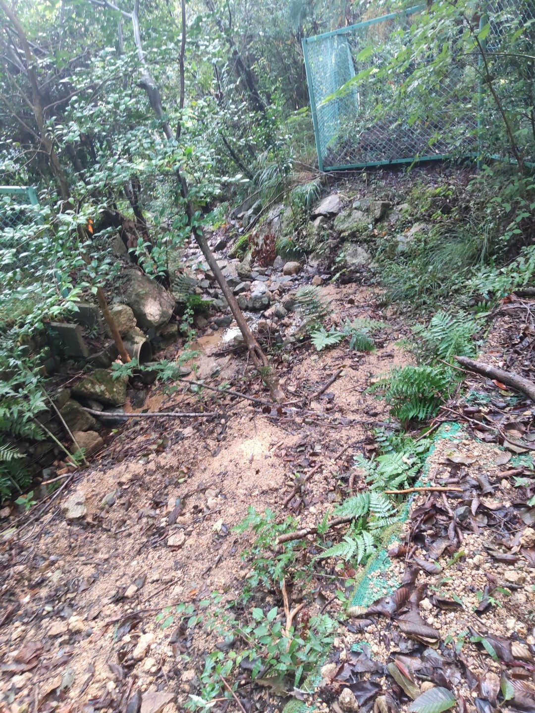 miyukyさんの投稿したフィールドメモ | YAMAP / ヤマップ