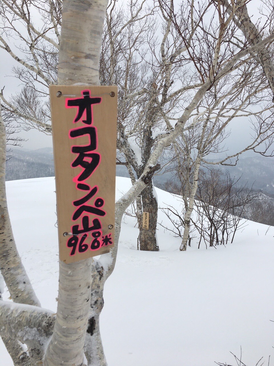 スノーシューデビューは 初♡オコタンペ山 / meguさんの恵庭岳の活動データ | YAMAP / ヤマップ