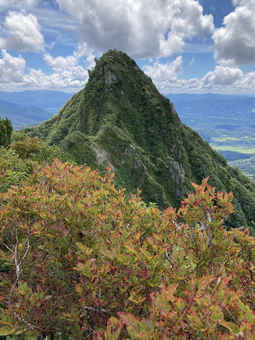 烏ヶ山 / AKKYさんの烏ヶ山・象山（笹ヶ峰）の活動データ | YAMAP / ヤマップ