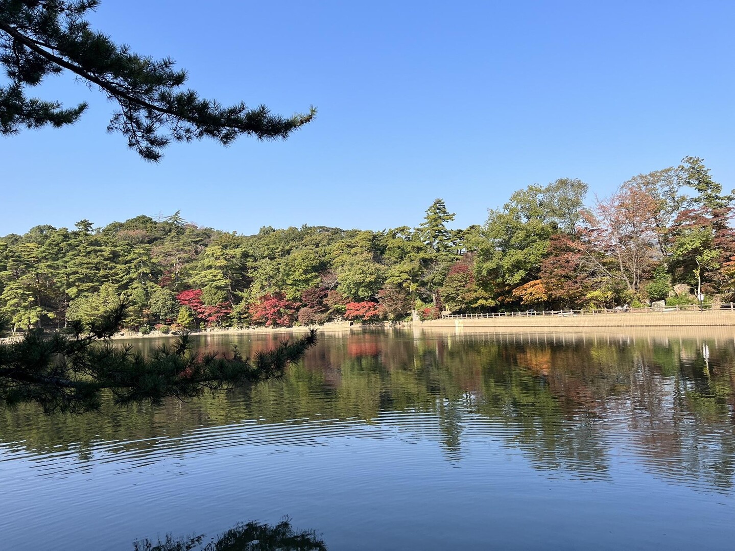 再度山 / yuriさんの六甲山・長峰山・摩耶山の活動データ | YAMAP / ヤマップ