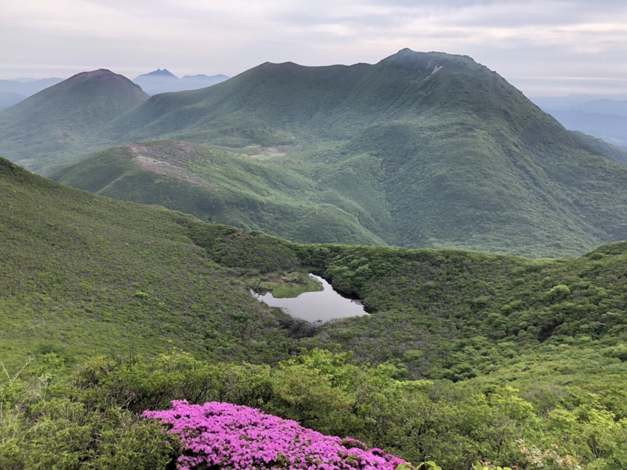 牧ノ戸からミヤパト🌸静かなくじゅう / moco🐾さんの九重山（久住山）・大船山・星生山の活動データ | YAMAP / ヤマップ