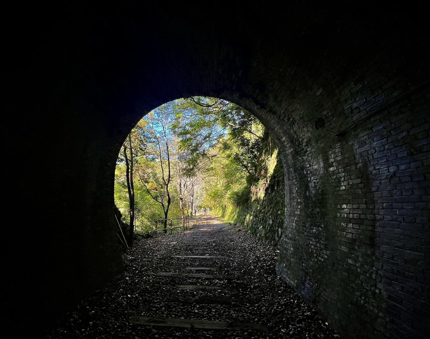JR福知山線廃線敷てくてく🚶 / moboさんの中山・大峰山の活動データ | YAMAP / ヤマップ