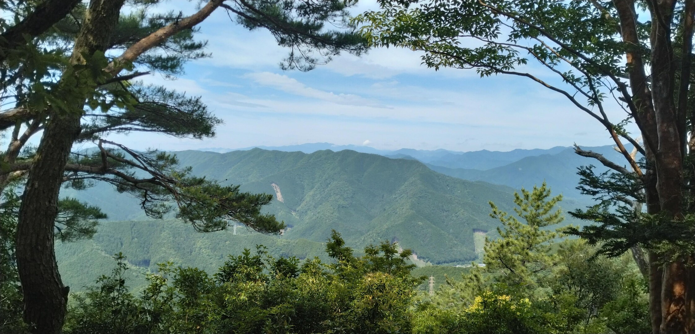 大河内山・オロチ山・有地山・有地山（西峰） / yuniiiさんの有地山・竹ノ谷山の活動データ | YAMAP / ヤマップ