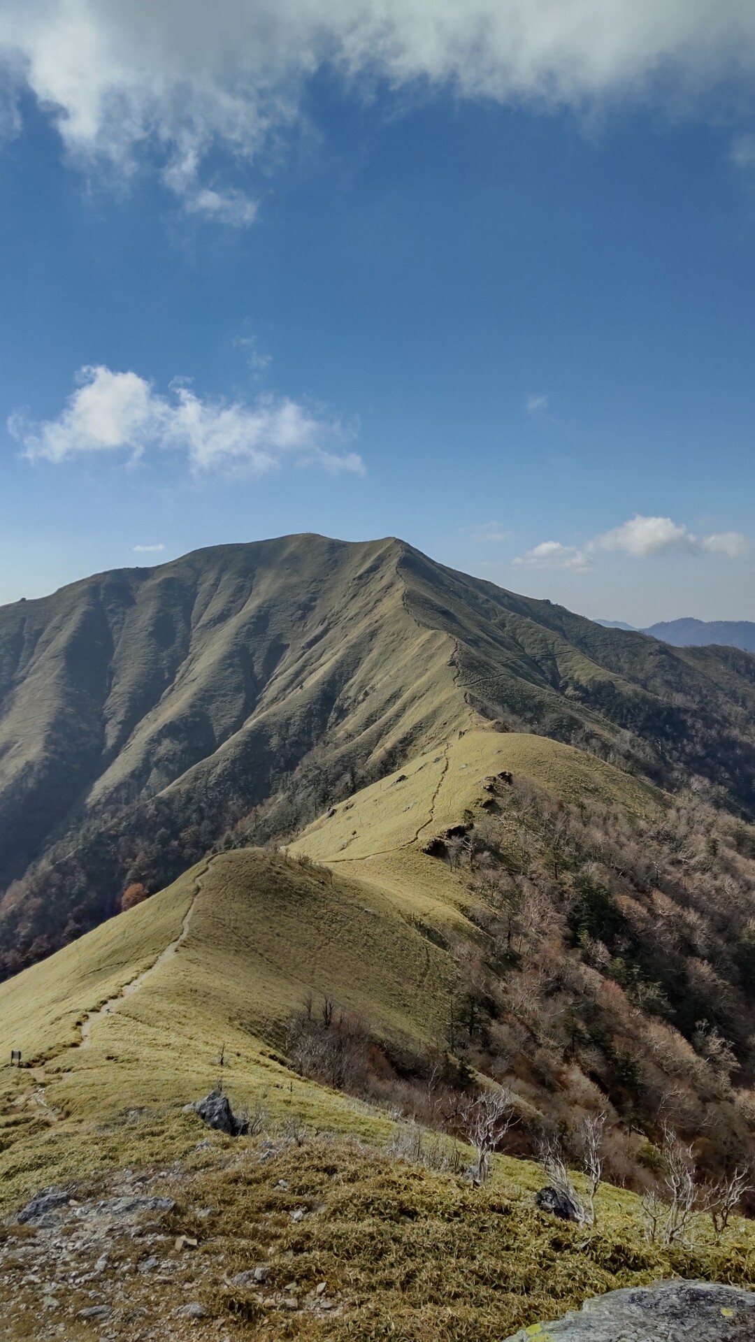 剣山・次郎笈 / NAOKINGさんの剣山の活動データ | YAMAP / ヤマップ