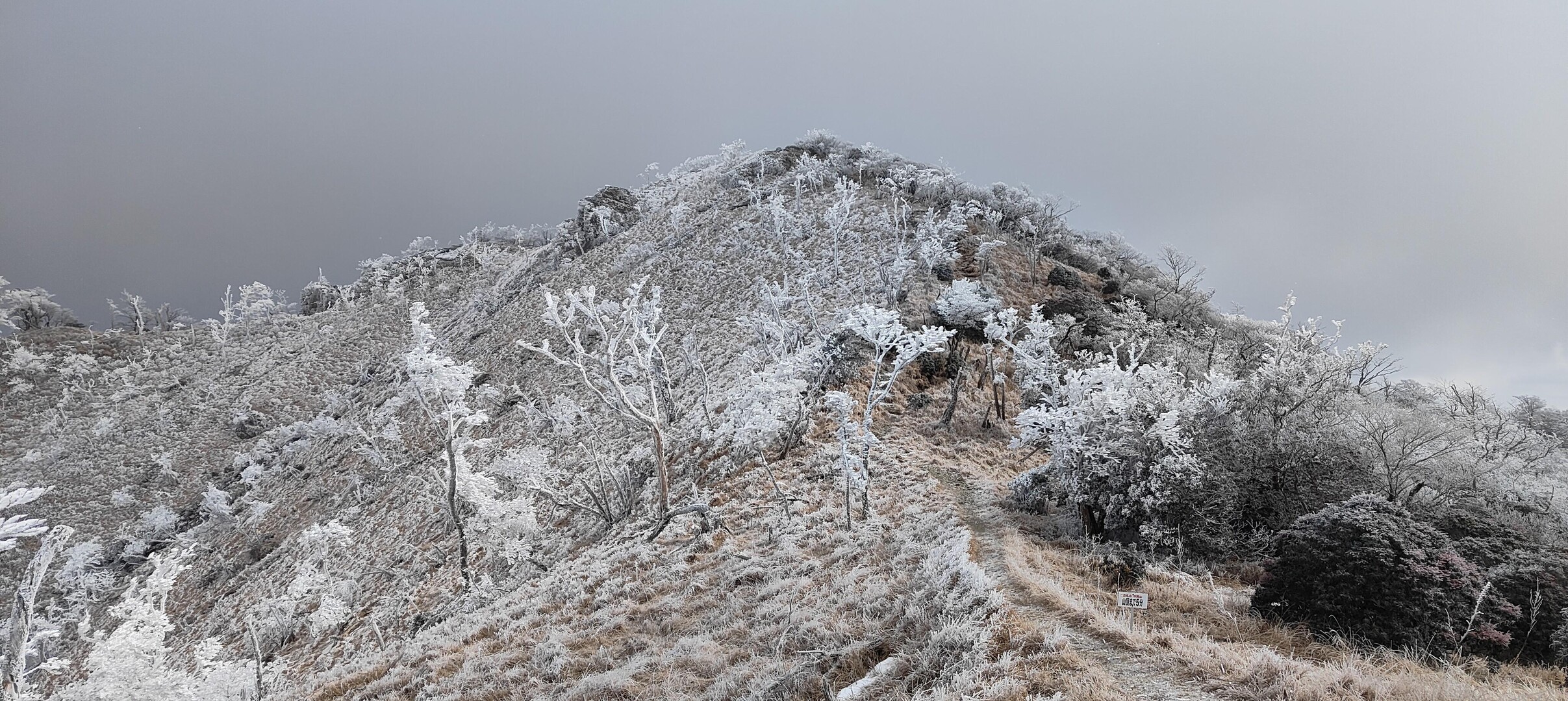 市房山 / Tacさんの市房山の活動データ | YAMAP / ヤマップ