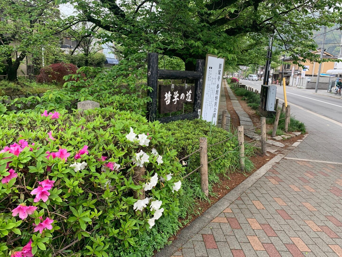 大文字山へ（フジの花の偵察） / nogi5196さんの大文字山・如意ヶ嶽・稲荷山の活動データ | YAMAP / ヤマップ