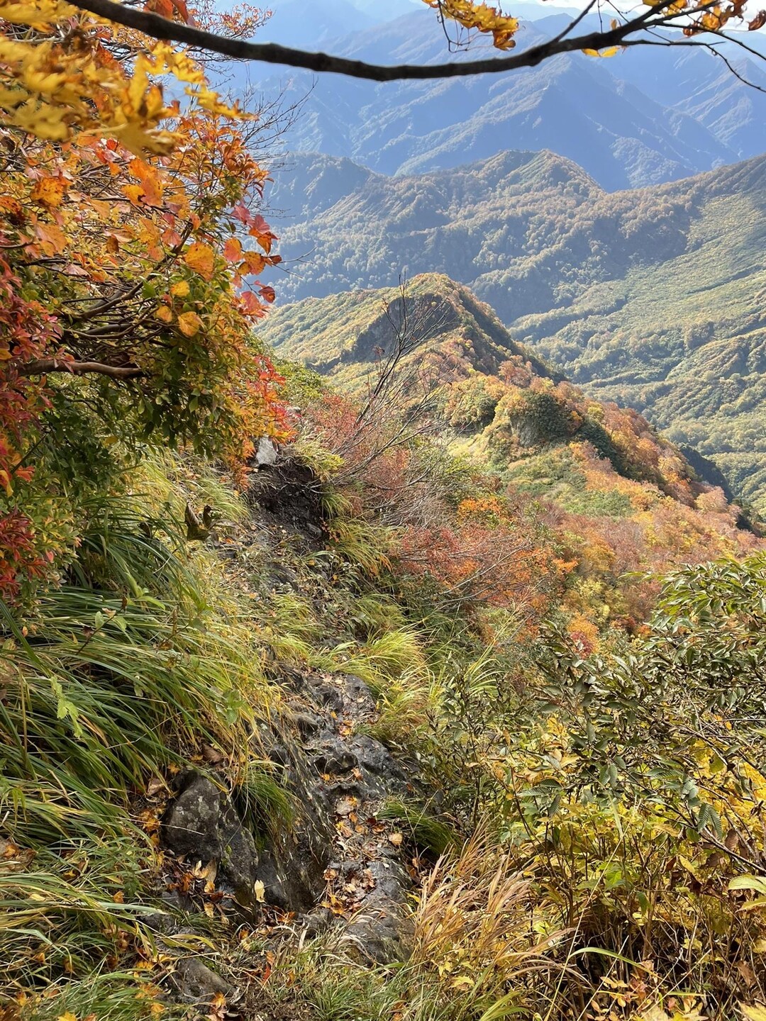 JJさんの投稿したフィールドメモ | YAMAP / ヤマップ