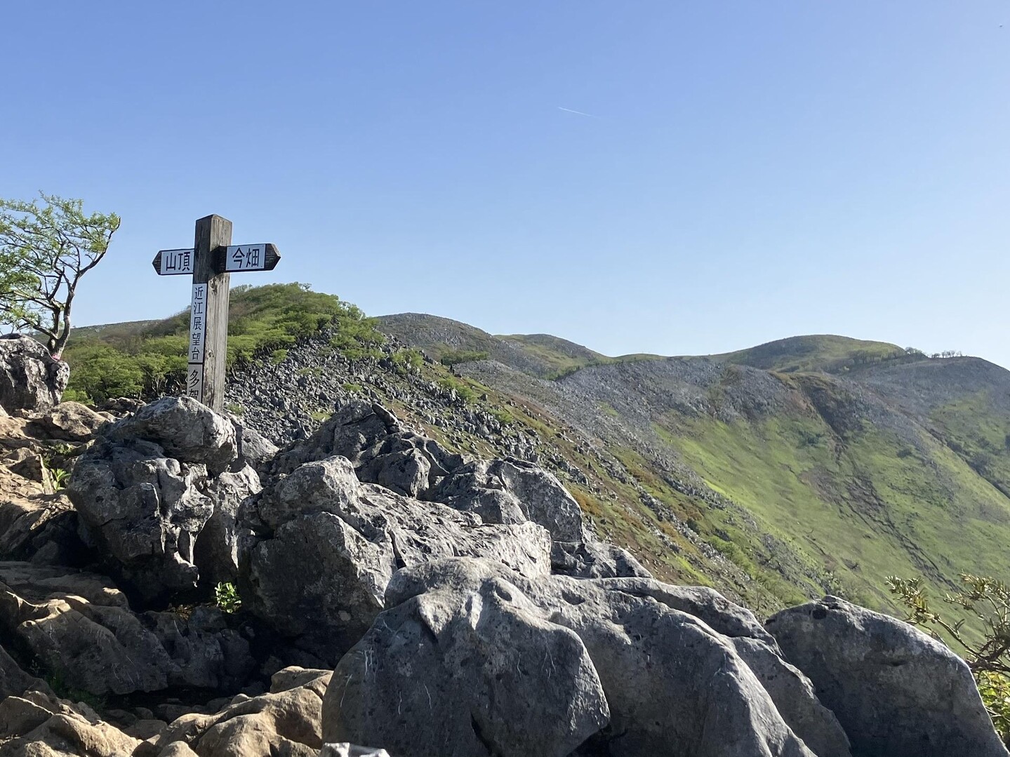 石灰岩と大展望の山 霊仙山 / issanさんの霊仙山の活動データ | YAMAP / ヤマップ