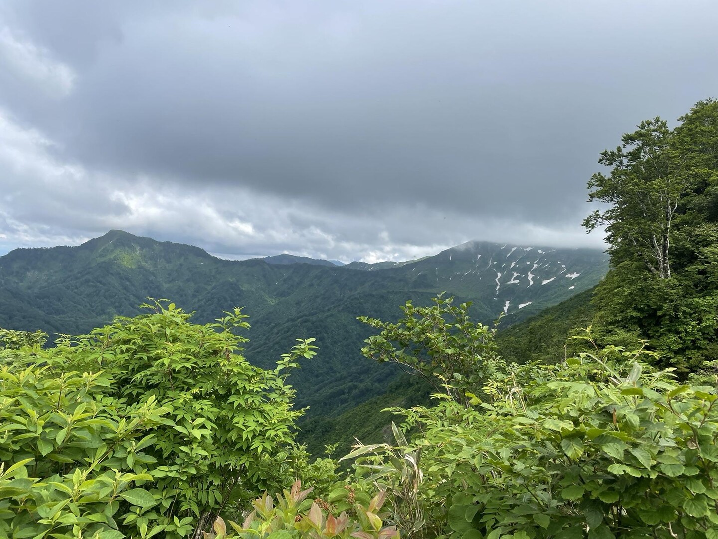 2023 DEEP JAPAN ULTRA 100 (160→130km) / ぴこじいさんの守門岳・大岳・網張山の活動データ | YAMAP / ヤマップ