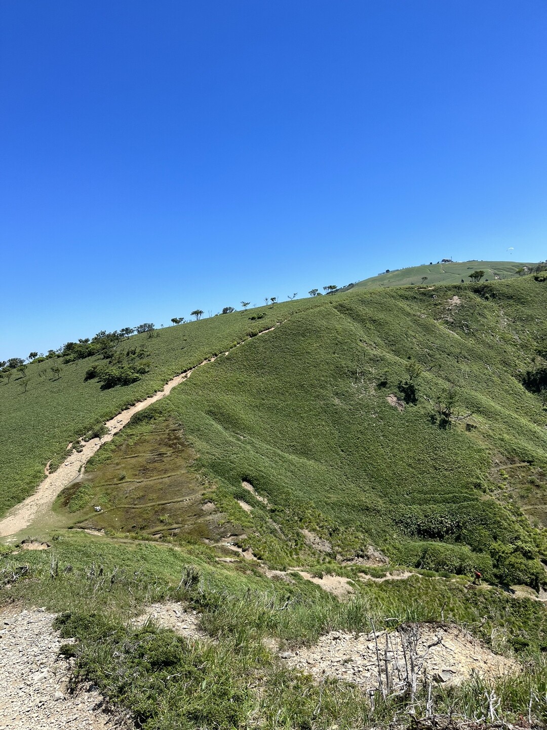 比良比叡トレイル / Noriyamaさんの比叡山・横高山・梶山の活動データ | YAMAP / ヤマップ