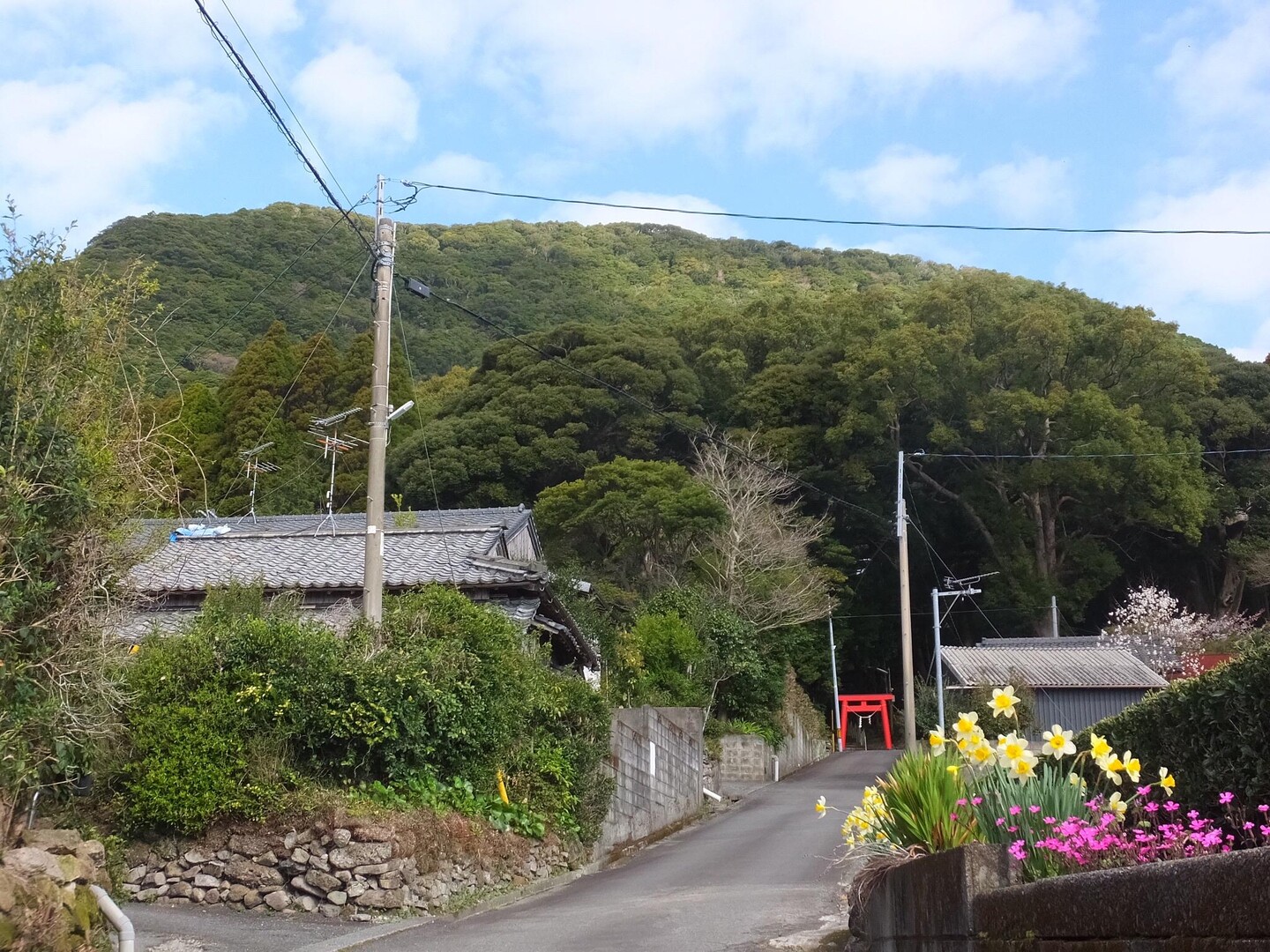 もっと早く行けば良かった ️下山岳 / fumi 🍇さんの下山岳の活動データ | YAMAP / ヤマップ