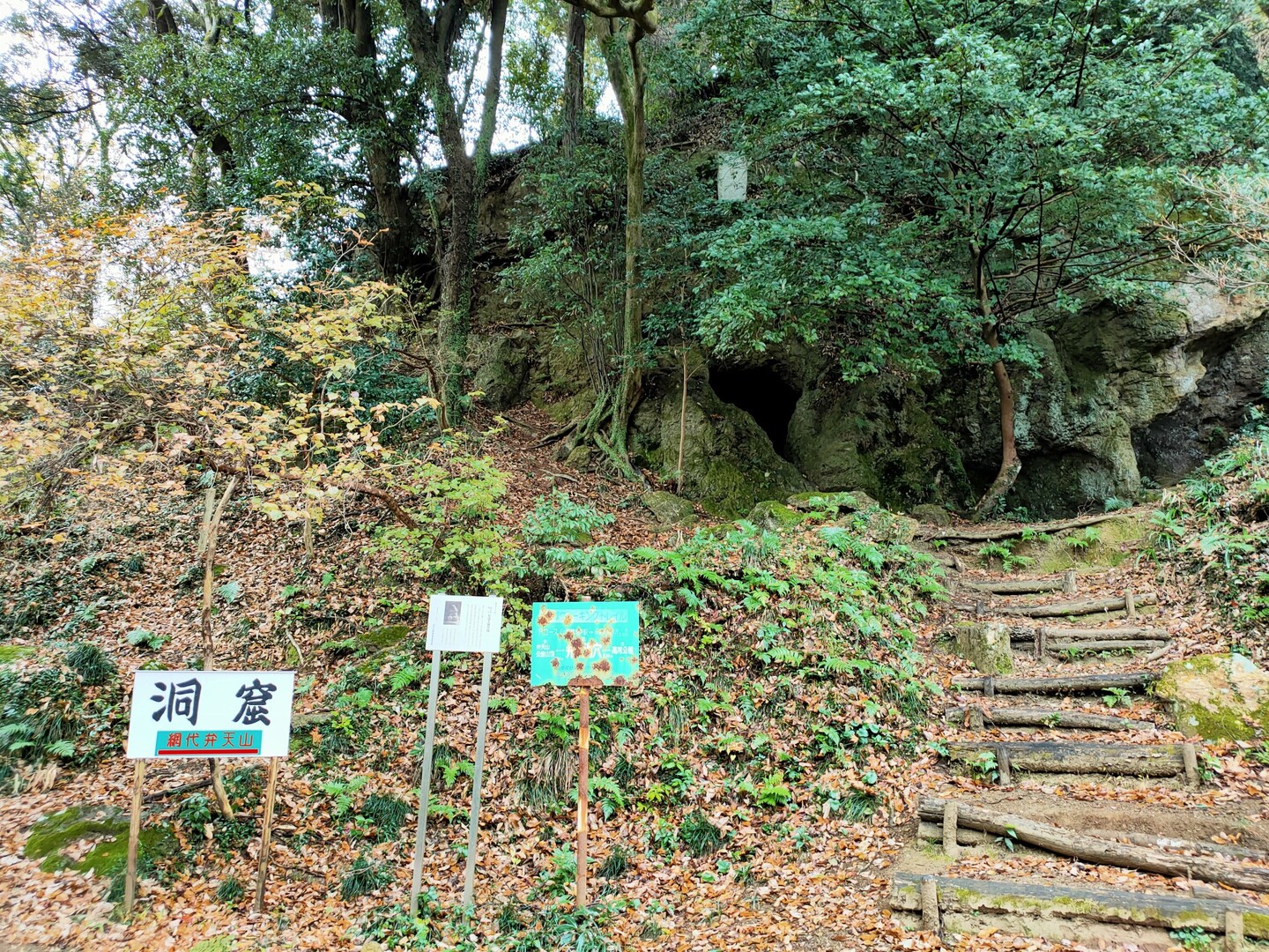 Mamincoさんの投稿したフィールドメモ | YAMAP / ヤマップ