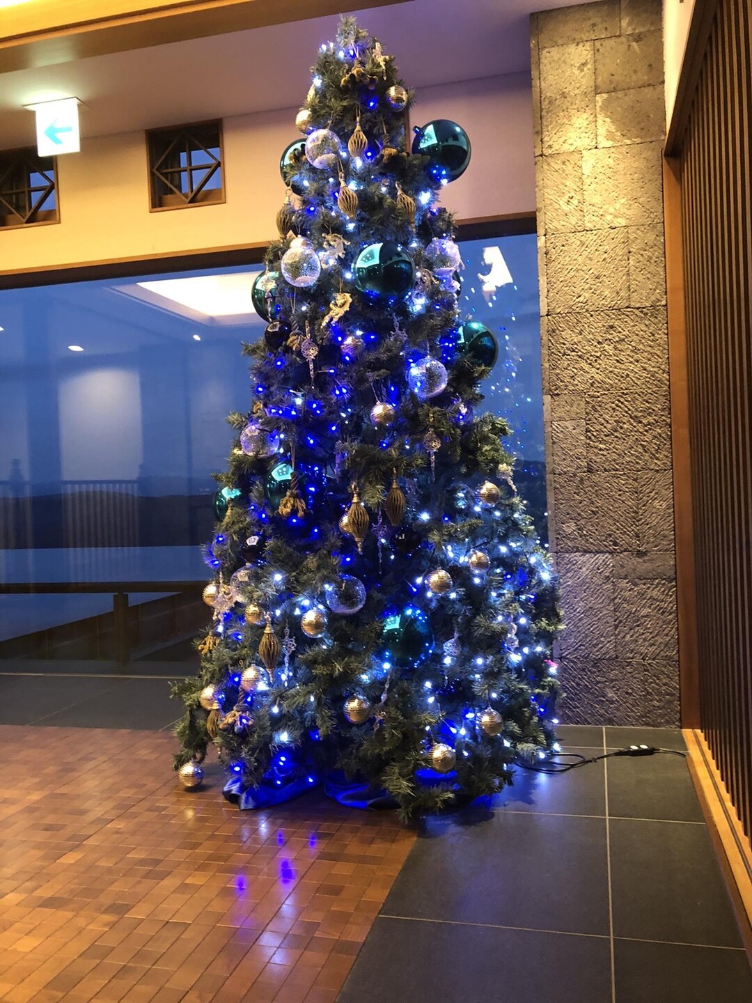 妙高高原♨️赤倉観光ホテルのX'masツ... / クロドカさんのモーメント | YAMAP / ヤマップ