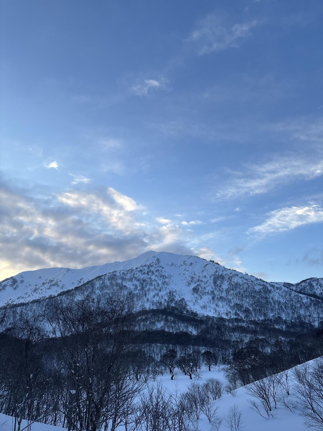 野伏ヶ岳 山スキー / KZさんの野伏ヶ岳の活動データ | YAMAP / ヤマップ