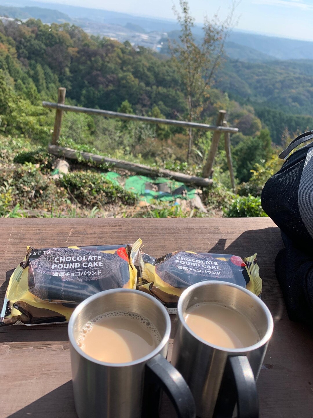 燧山・龍崖山・柏木山 / chocoponさんの天覧山・多峯主山・天覚山の活動データ | YAMAP / ヤマップ