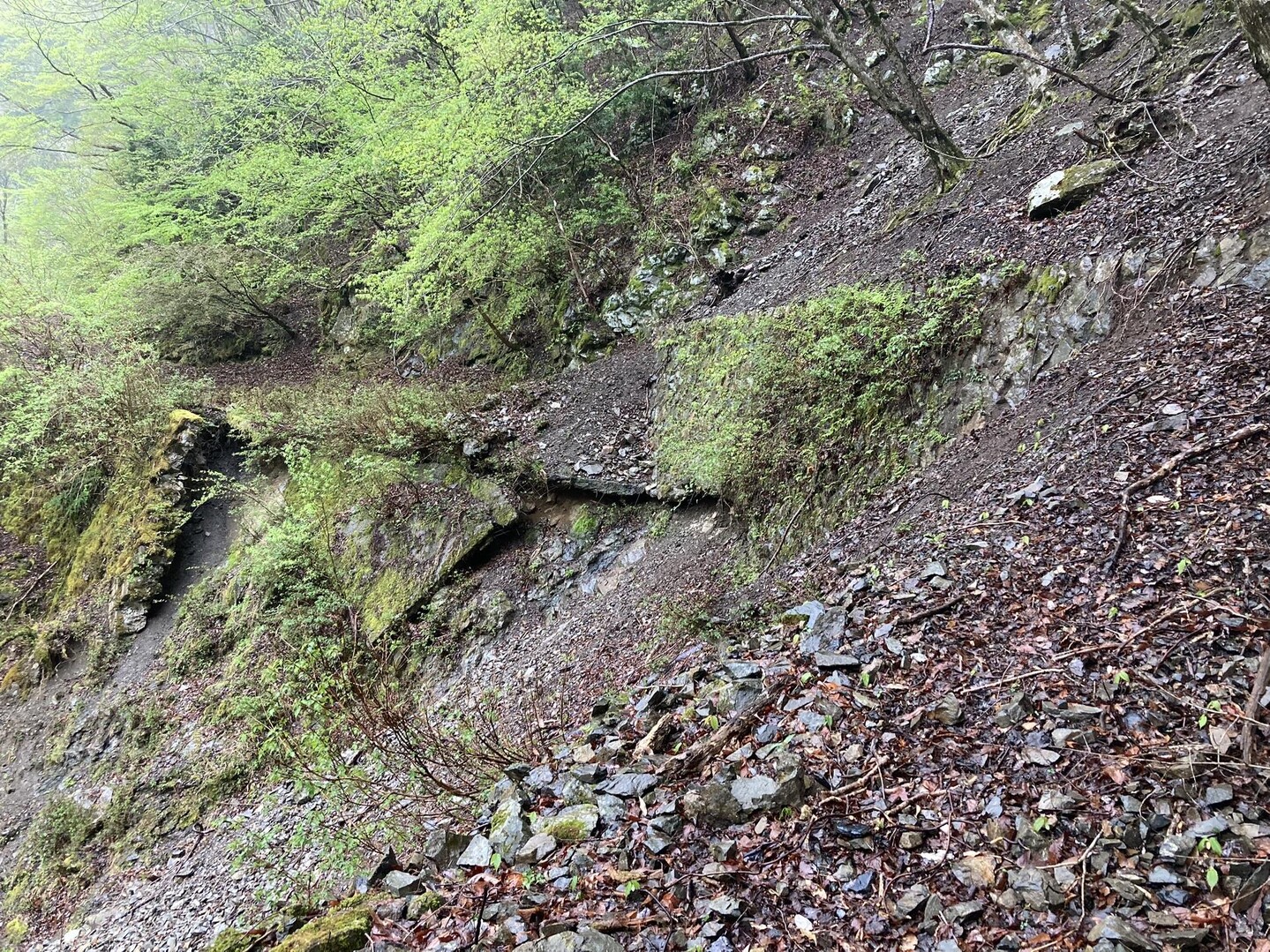 akimetalさんの投稿したフィールドメモ | YAMAP / ヤマップ