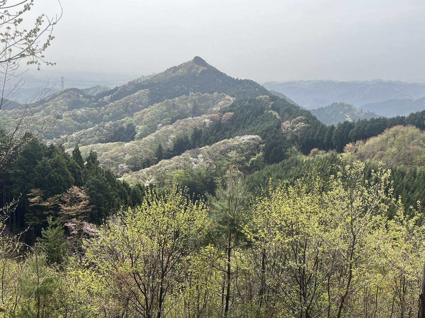 金比羅尾根ピストン / fumさんの大岳山・御岳山・御前山の活動データ | YAMAP / ヤマップ