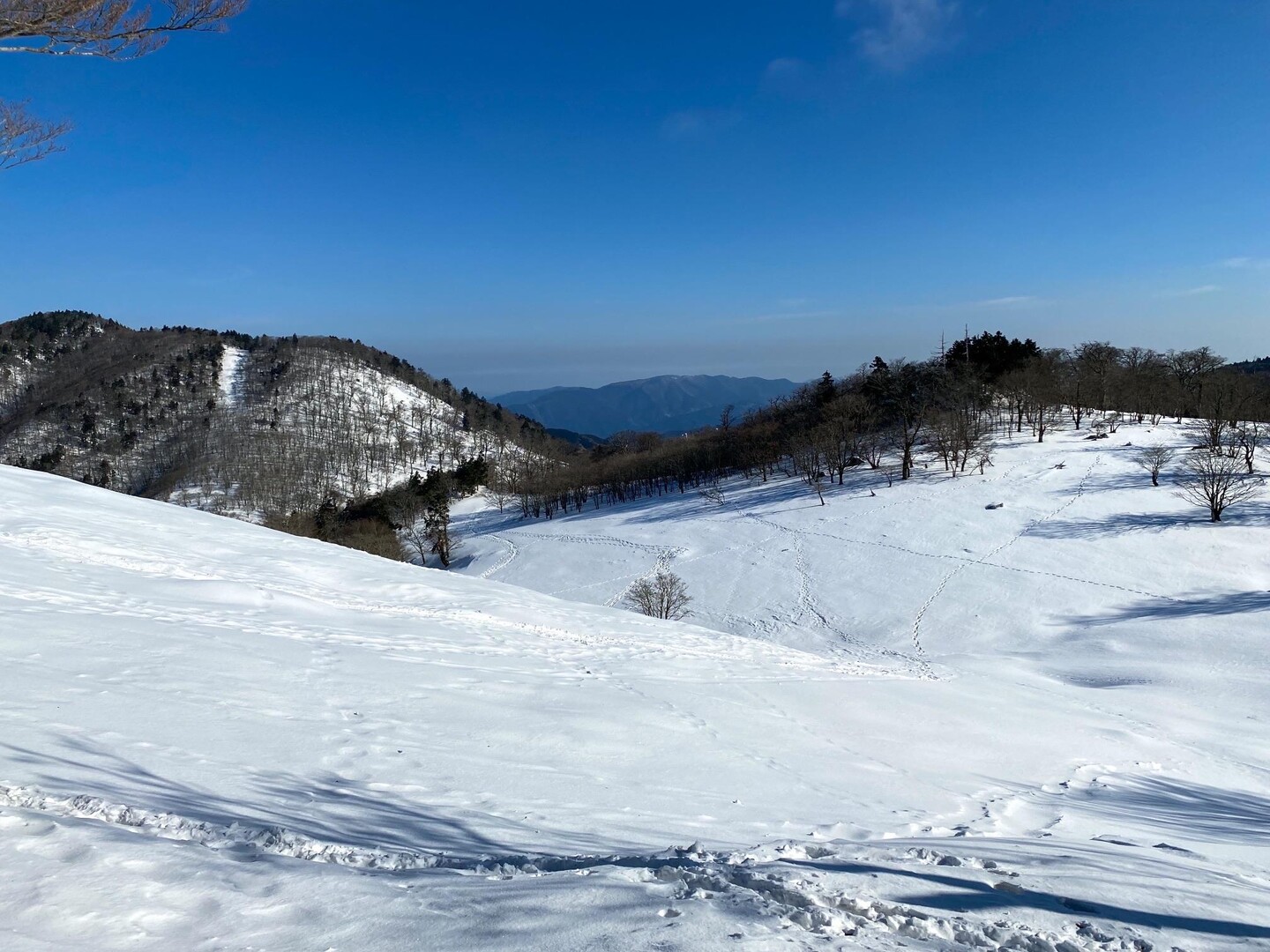無氷💦明神平・前山・明神岳🏔 / emi~*♡さんの桧塚奥峰・明神岳・薊岳の活動データ | YAMAP / ヤマップ