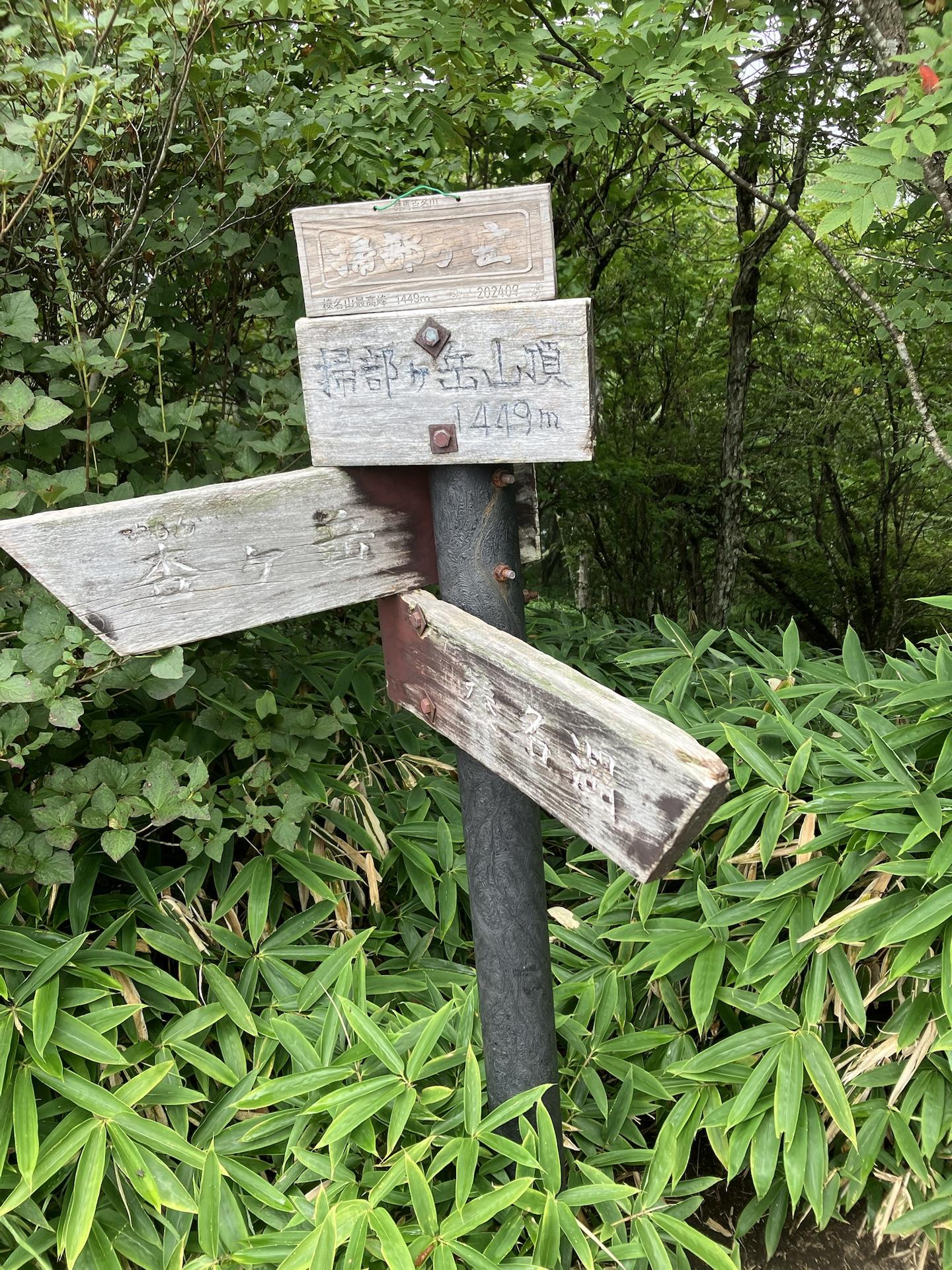 榛名山（掃部ヶ岳） / takeさんの榛名山・天狗山・天目山の活動データ | YAMAP / ヤマップ