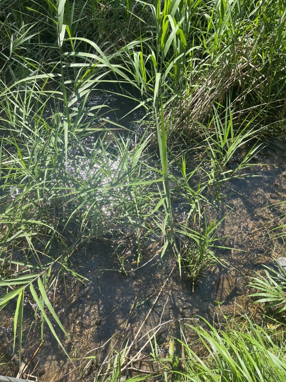 Keiのページ | YAMAP / ヤマップ