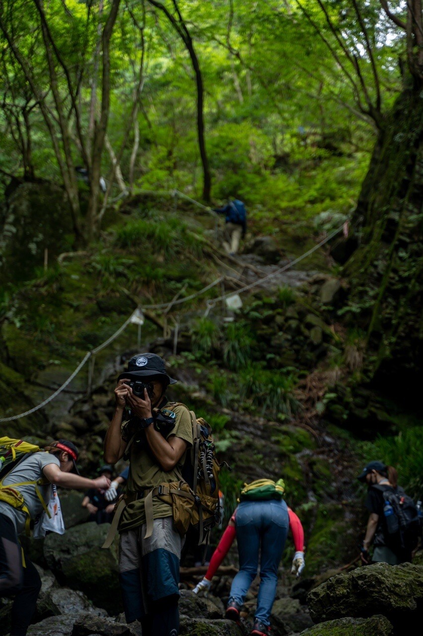 棒ノ嶺(棒ノ折山) / hisashiさんの棒ノ折山（棒ノ嶺）の活動データ | YAMAP / ヤマップ