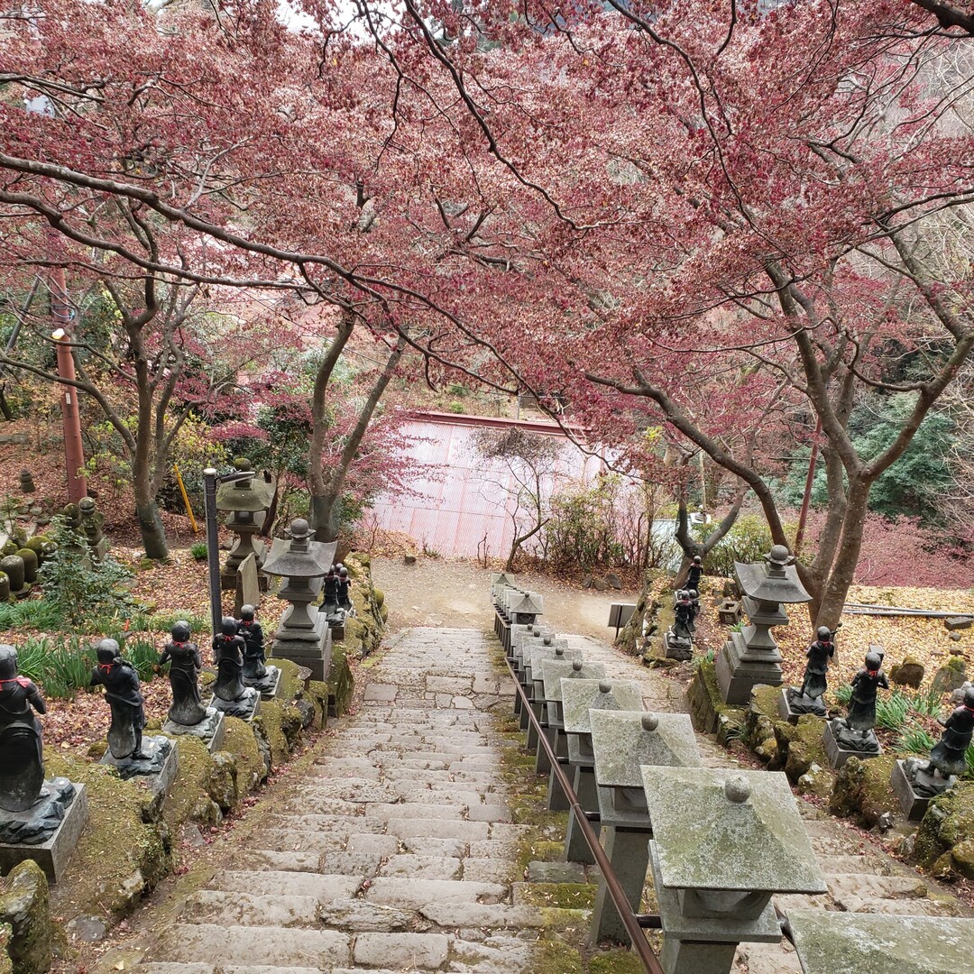 SHUのページ | YAMAP / ヤマップ