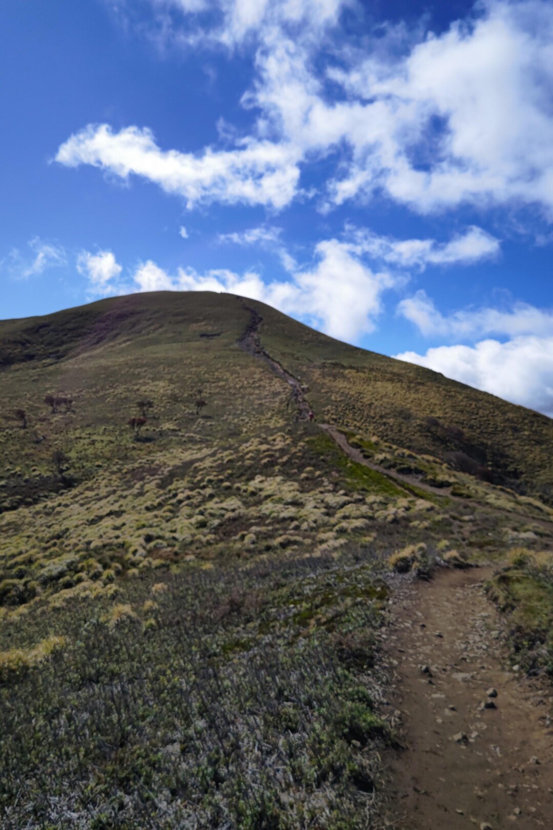 竜ヶ岳・砂山…トレランコース / cocataさんの竜ヶ岳の活動データ | YAMAP / ヤマップ