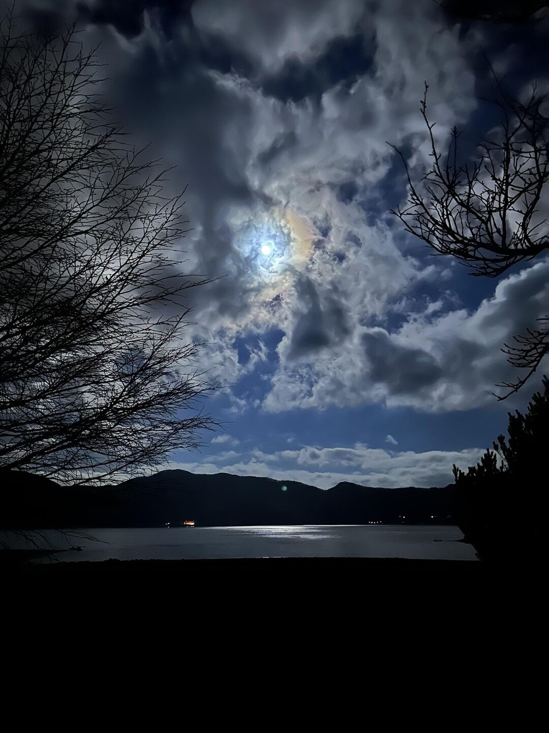 竜ヶ岳 登り納め / Star-imoさんの毛無山・雨ヶ岳・竜ヶ岳の活動データ | YAMAP / ヤマップ