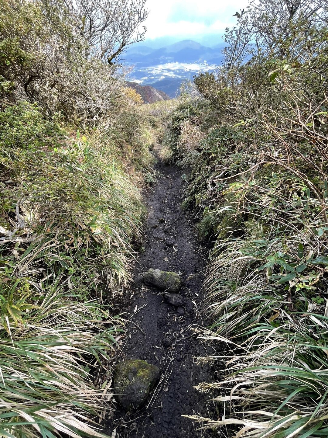 tsk-chaponさんの投稿したフィールドメモ | YAMAP / ヤマップ