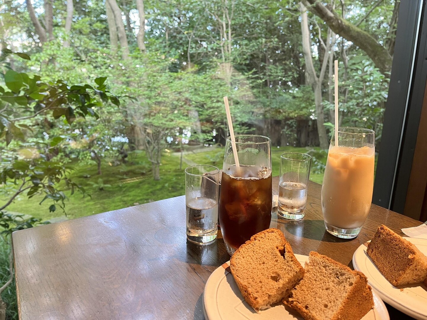 山に行けない日は森で過ごす🌳 / mitsu32さんのモーメント | YAMAP / ヤマップ