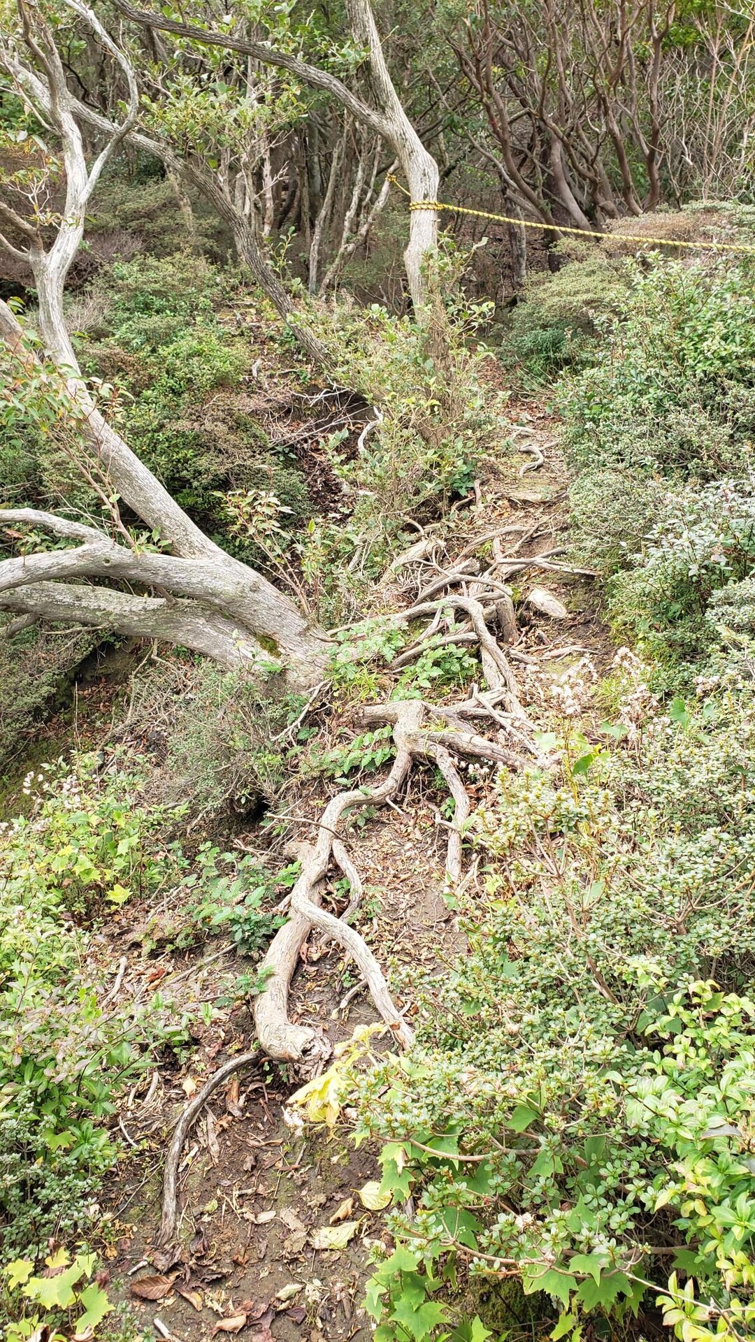 osaさんの投稿したフィールドメモ | YAMAP / ヤマップ