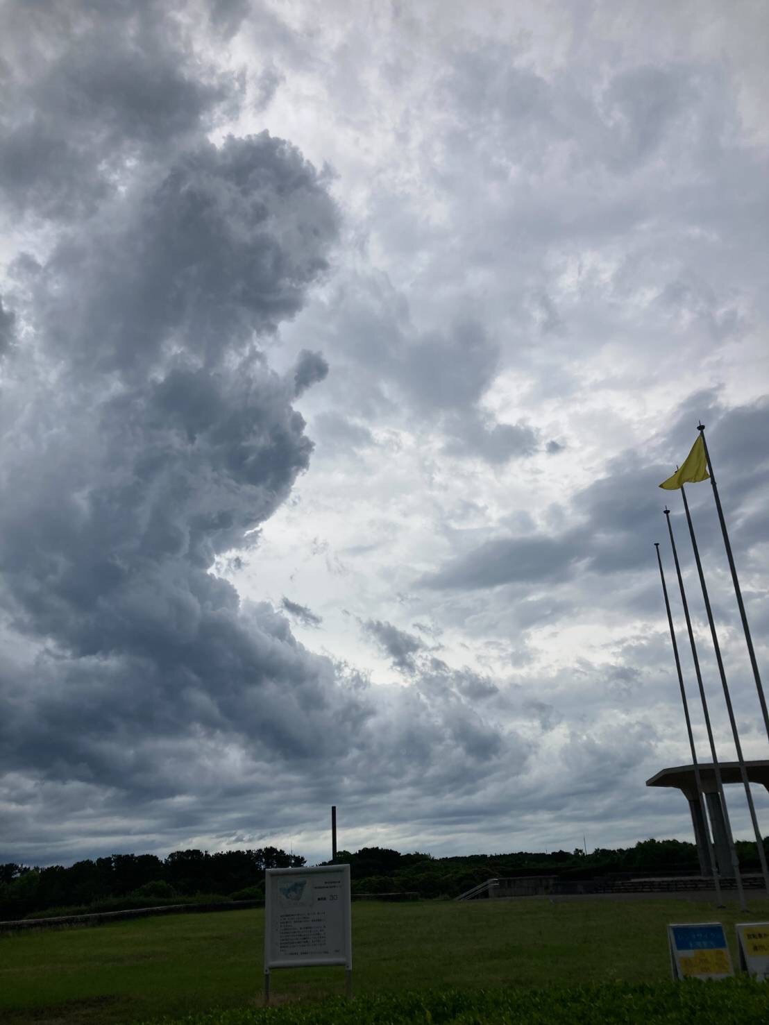 蝉時雨。 https://youtu.b... / はるかかなたさんのモーメント | YAMAP / ヤマップ