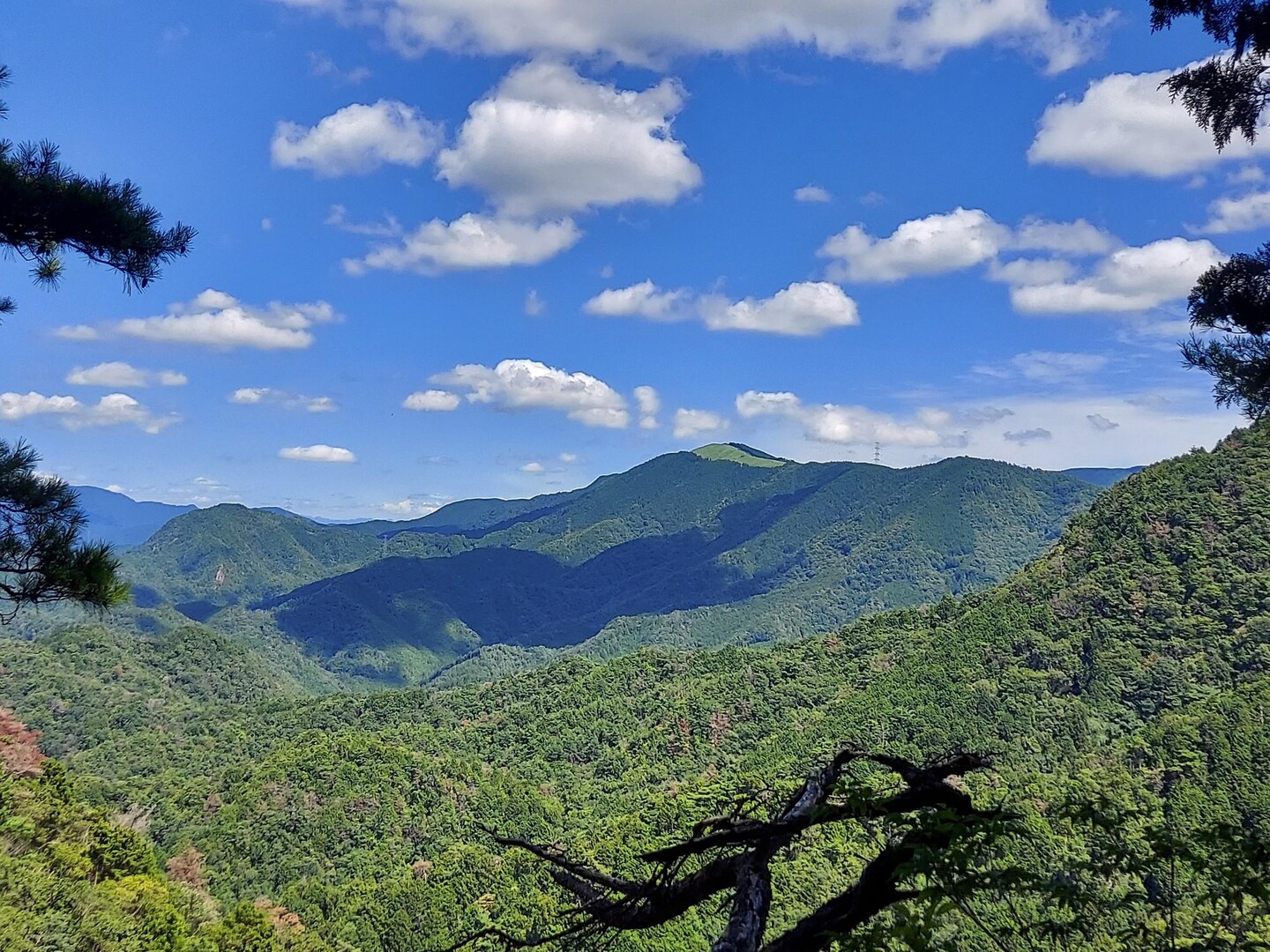 八ヶ丸山～奥槇尾山🗻ハイキング / ree-koさんの槇尾山（槙尾山）・和泉葛城山・神於山の活動データ | YAMAP / ヤマップ