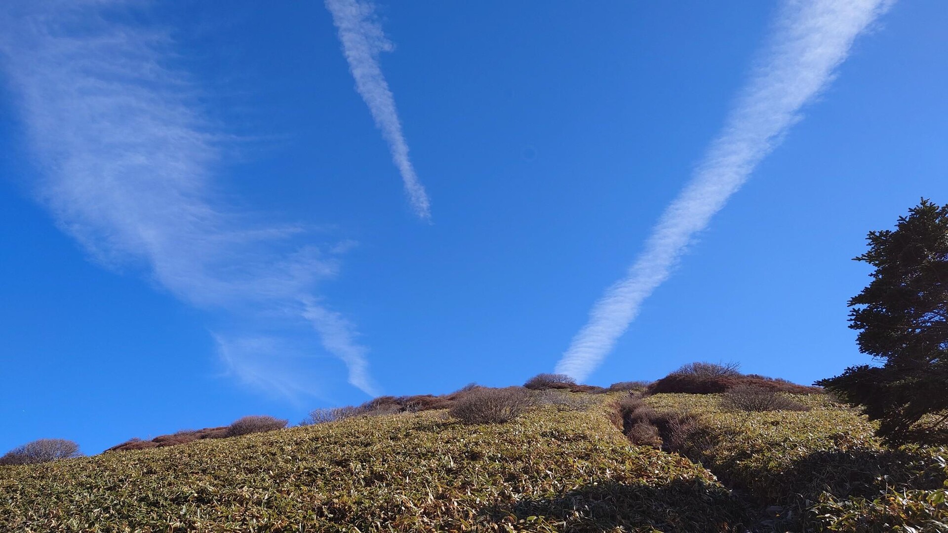 瓶ヶ森 四国遠征5座目 / apoi5789さんの瓶ヶ森・伊予富士の活動データ | YAMAP / ヤマップ