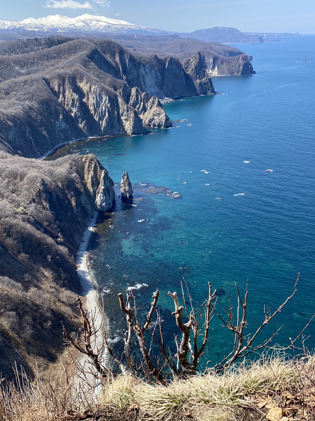 尻場山-2020-04-12 / Kamexさんの尻場山の活動データ | YAMAP / ヤマップ