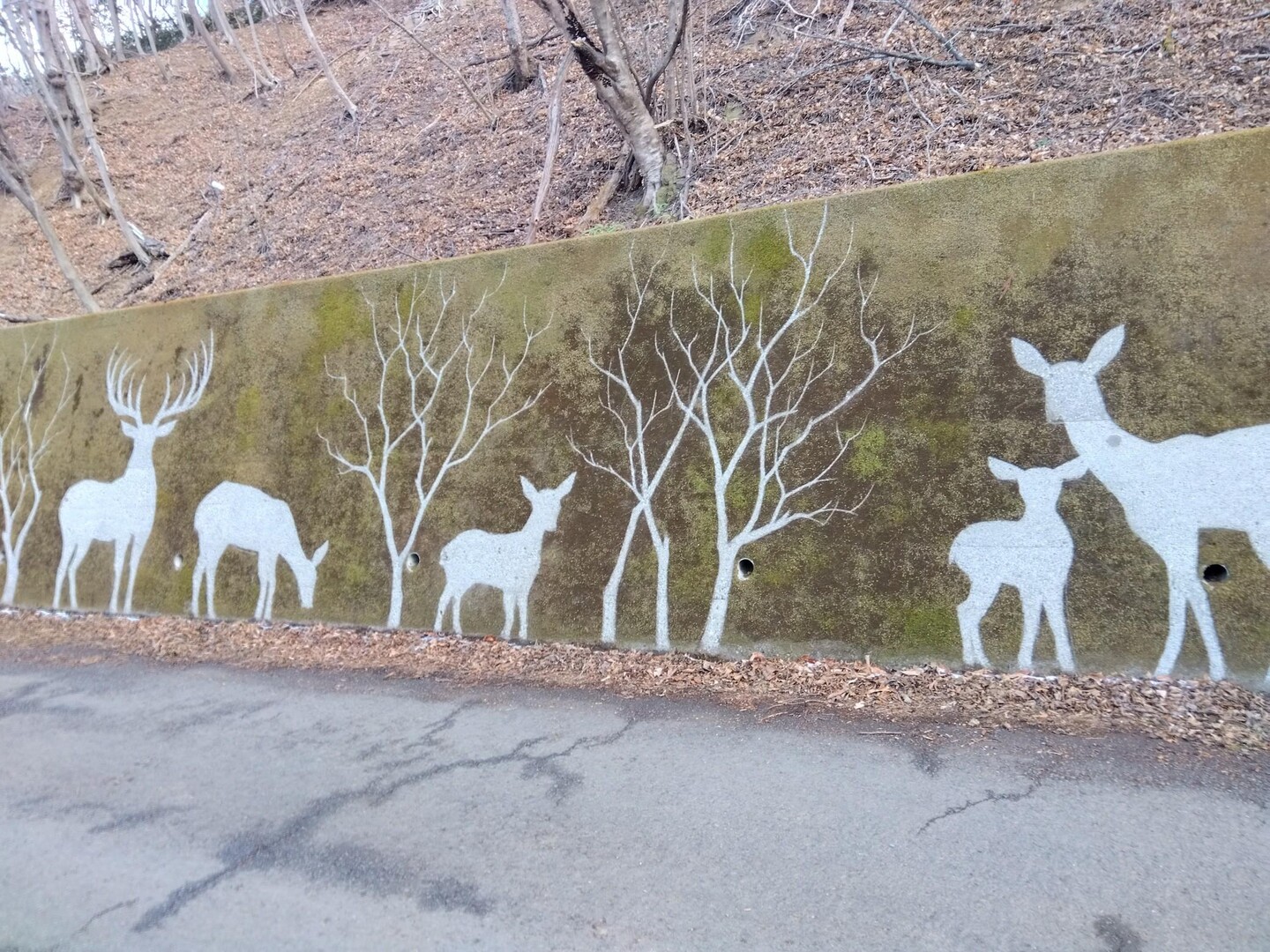 苔アート🦌と関八州見晴台 / isokitiさんの関八州見晴台の活動データ | YAMAP / ヤマップ