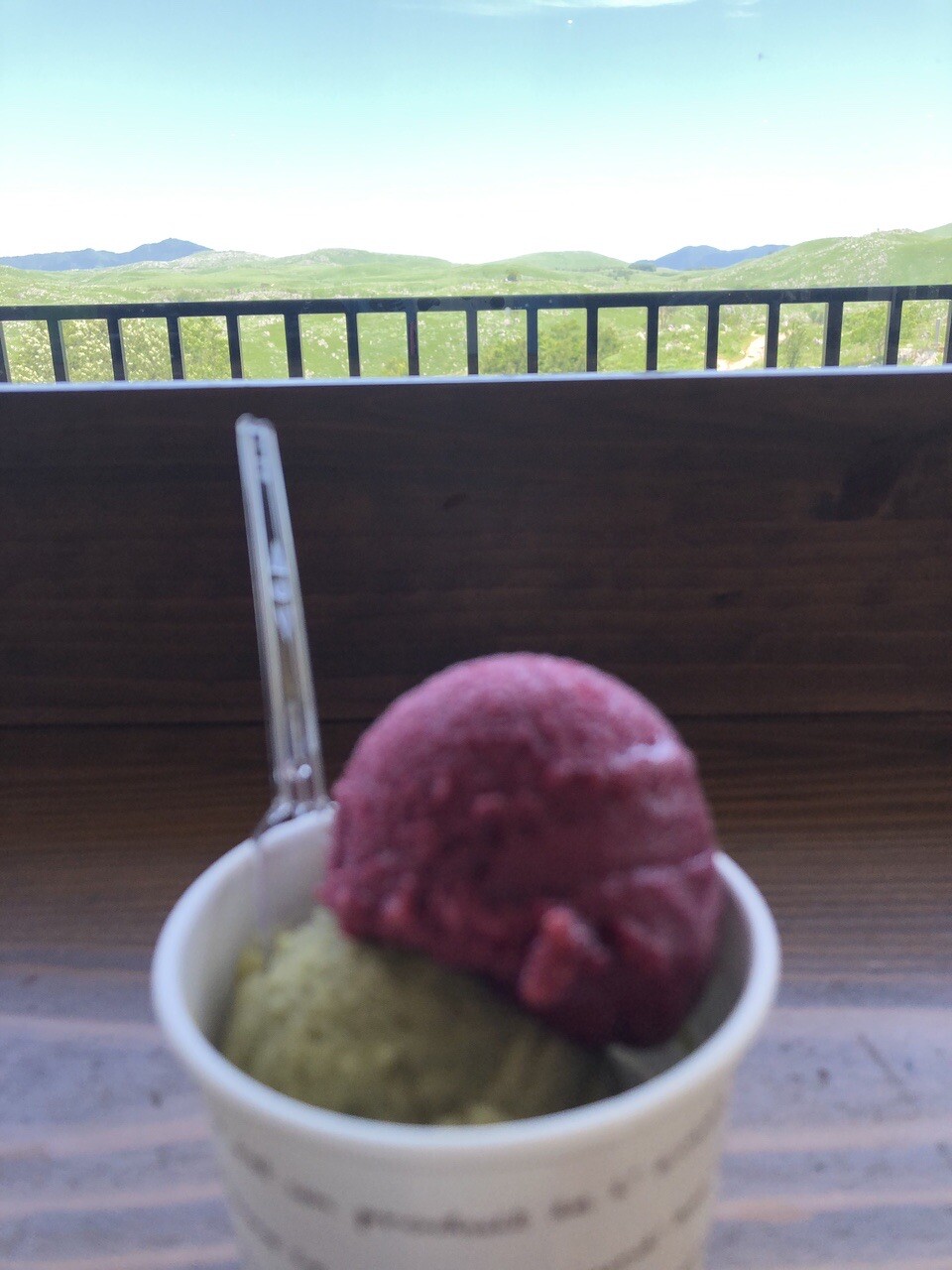 秋吉台家族旅行村コース🏃‍♀️ R3/5/28🌤 / さやっぺさんの秋吉台カルストトレイルランONLINEの活動データ | YAMAP / ヤマップ