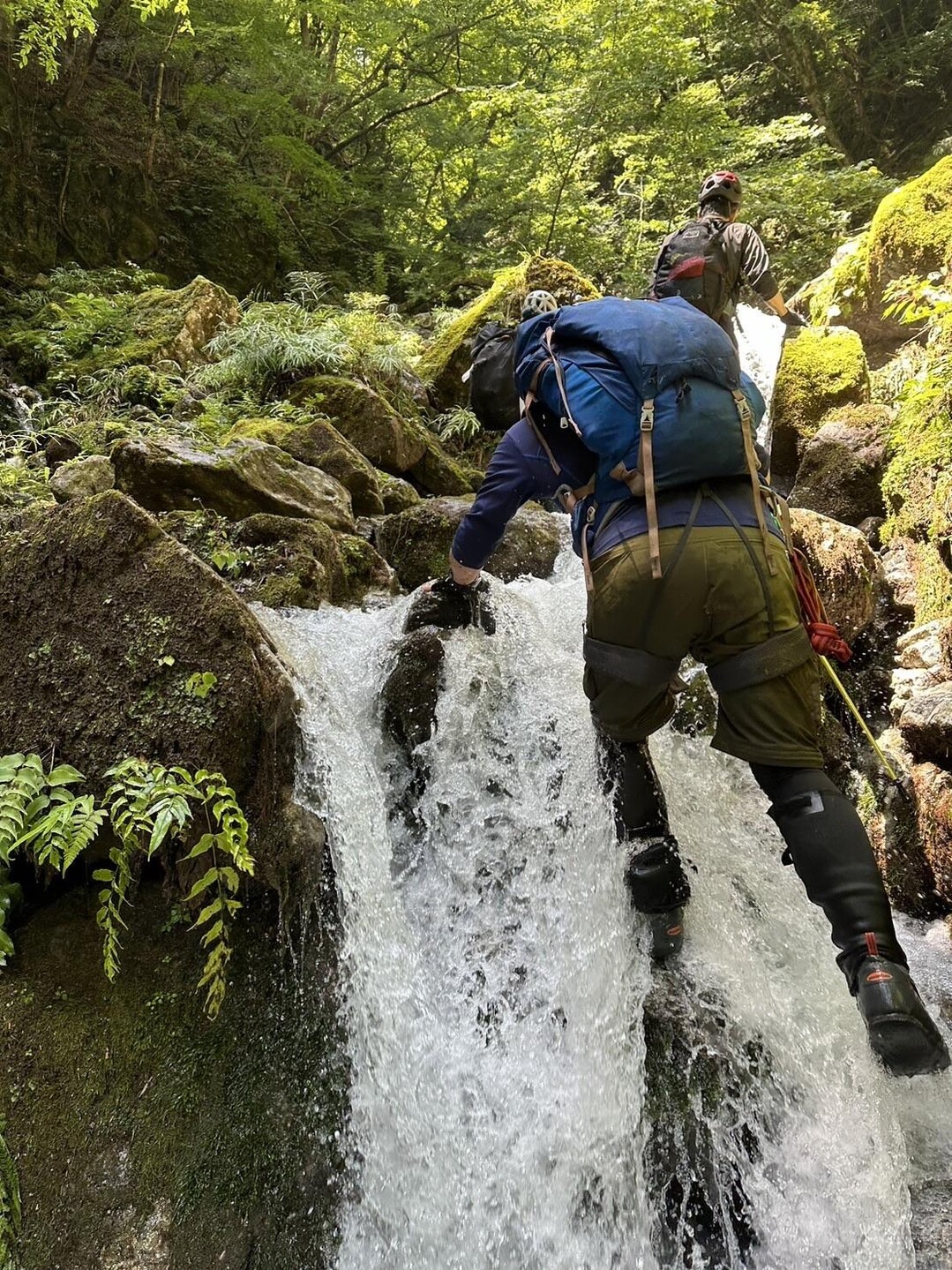 日原川支流 家入沢 / Yasu.tさんの高尾山・陣馬山・景信山の活動データ | YAMAP / ヤマップ