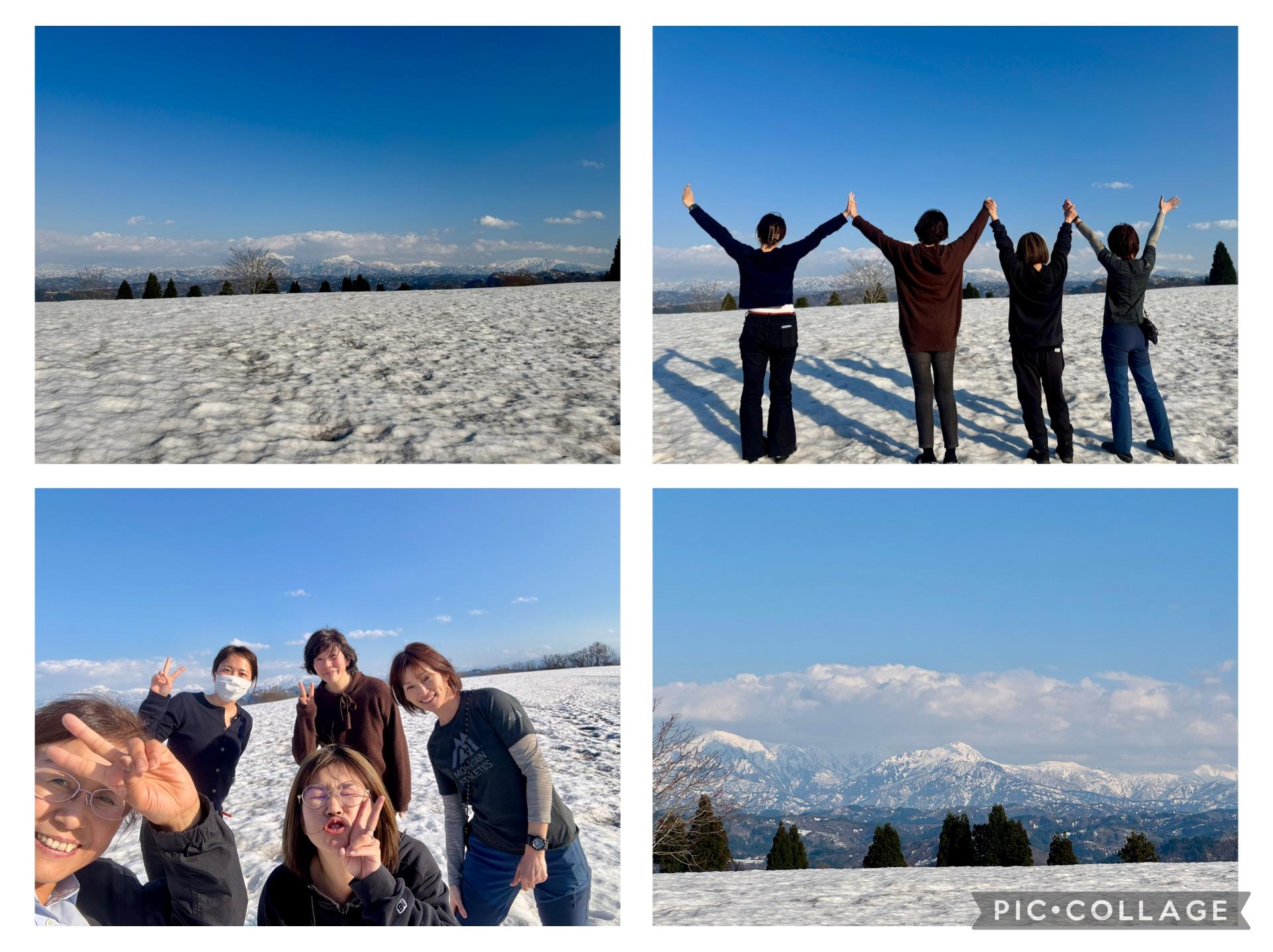 春の訪れで山菜採り(｡•ᴗ•｡)♡ そ... / meichiさんのモーメント | YAMAP / ヤマップ