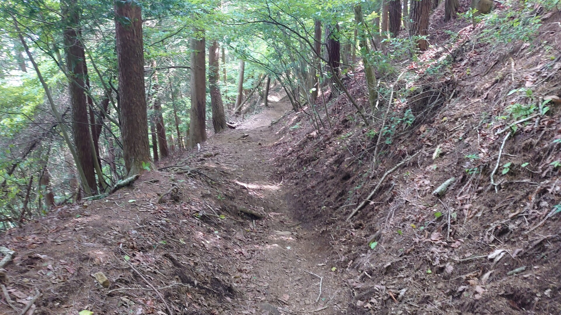 TKYMさんの投稿したフィールドメモ | YAMAP / ヤマップ