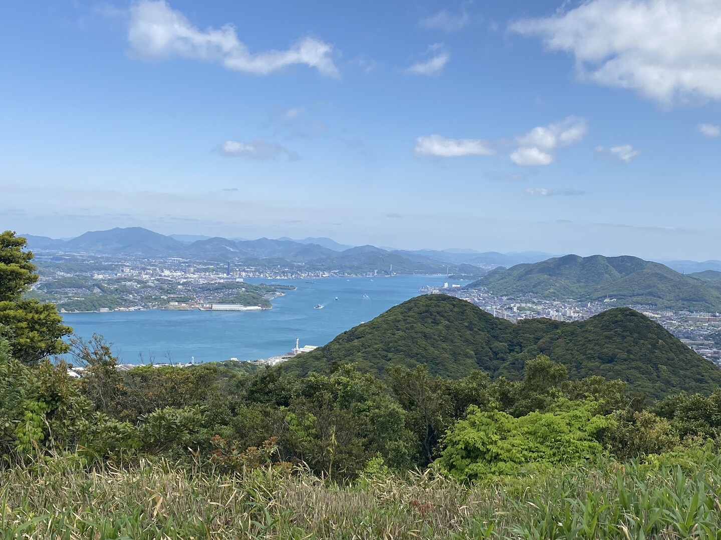 雨が上がった‼️（足立山、小文字山等） / モモゾーさんの足立山・戸ノ上山の活動データ | YAMAP / ヤマップ