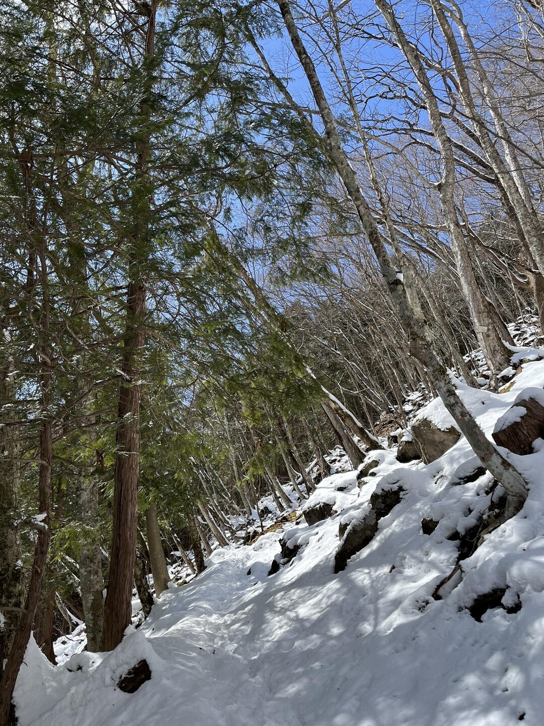 新湯富士（塩原富士山） / hanさんの里美富士の活動データ | YAMAP / ヤマップ