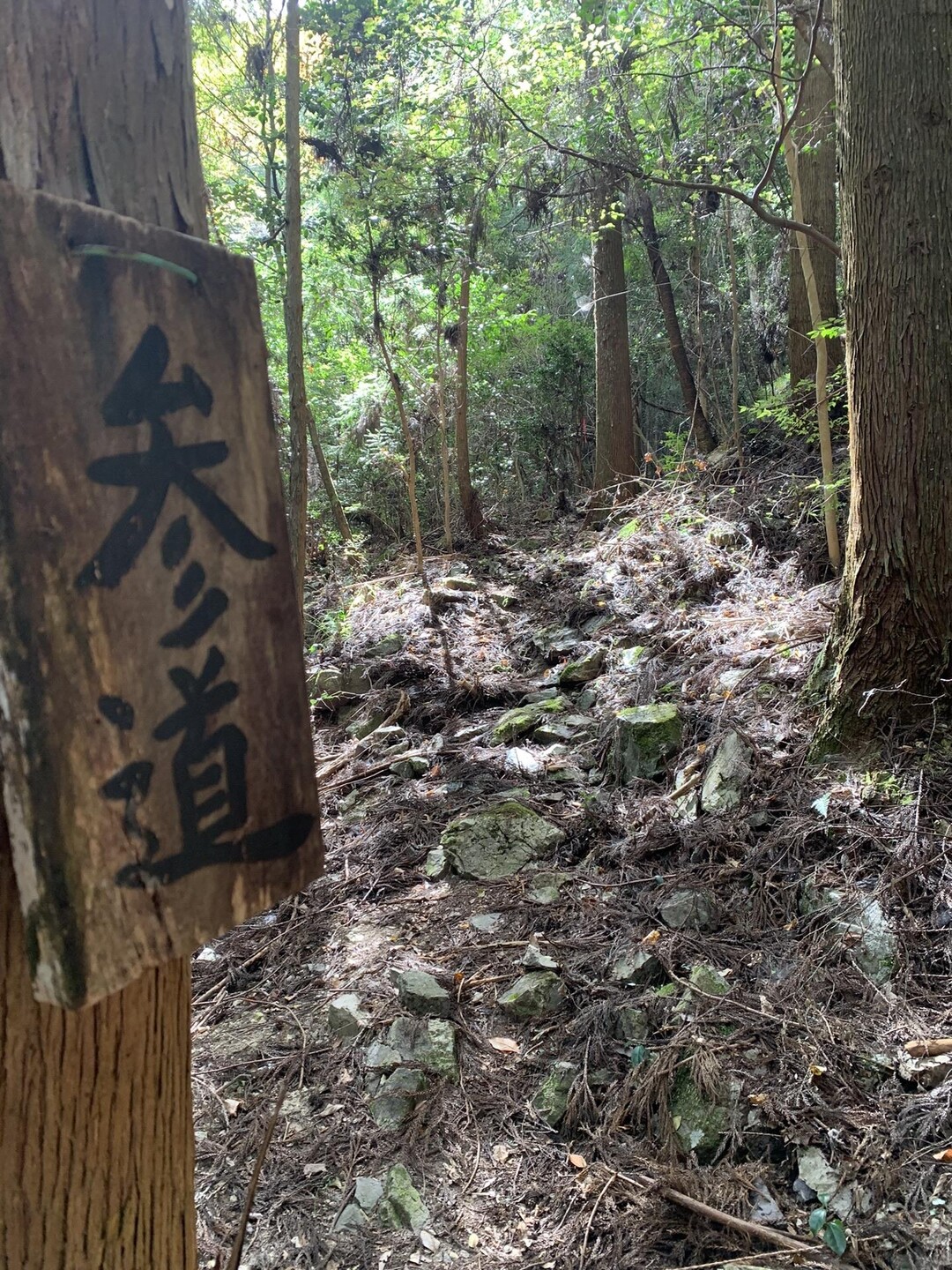 【備忘】御調トレイル試走（尾道市） / しげさん123さんの尾道市の活動データ | YAMAP / ヤマップ